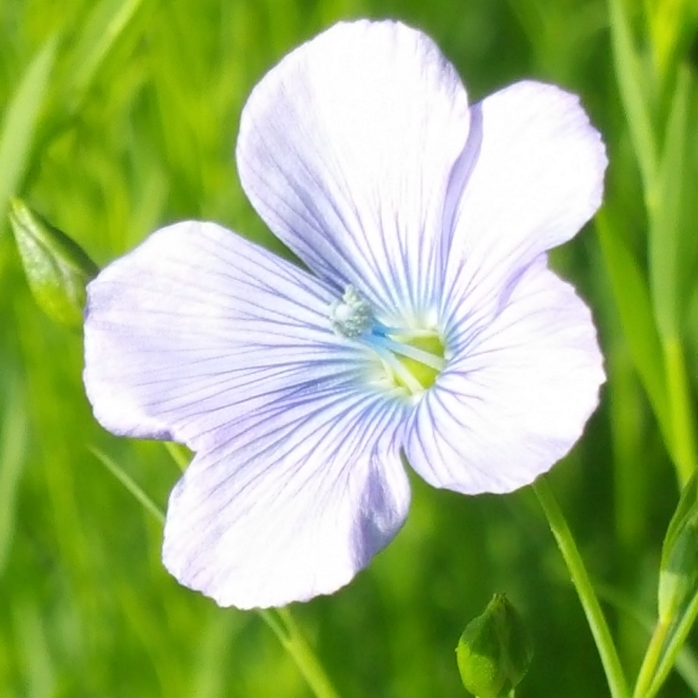 Contact – CréaLIN.fr